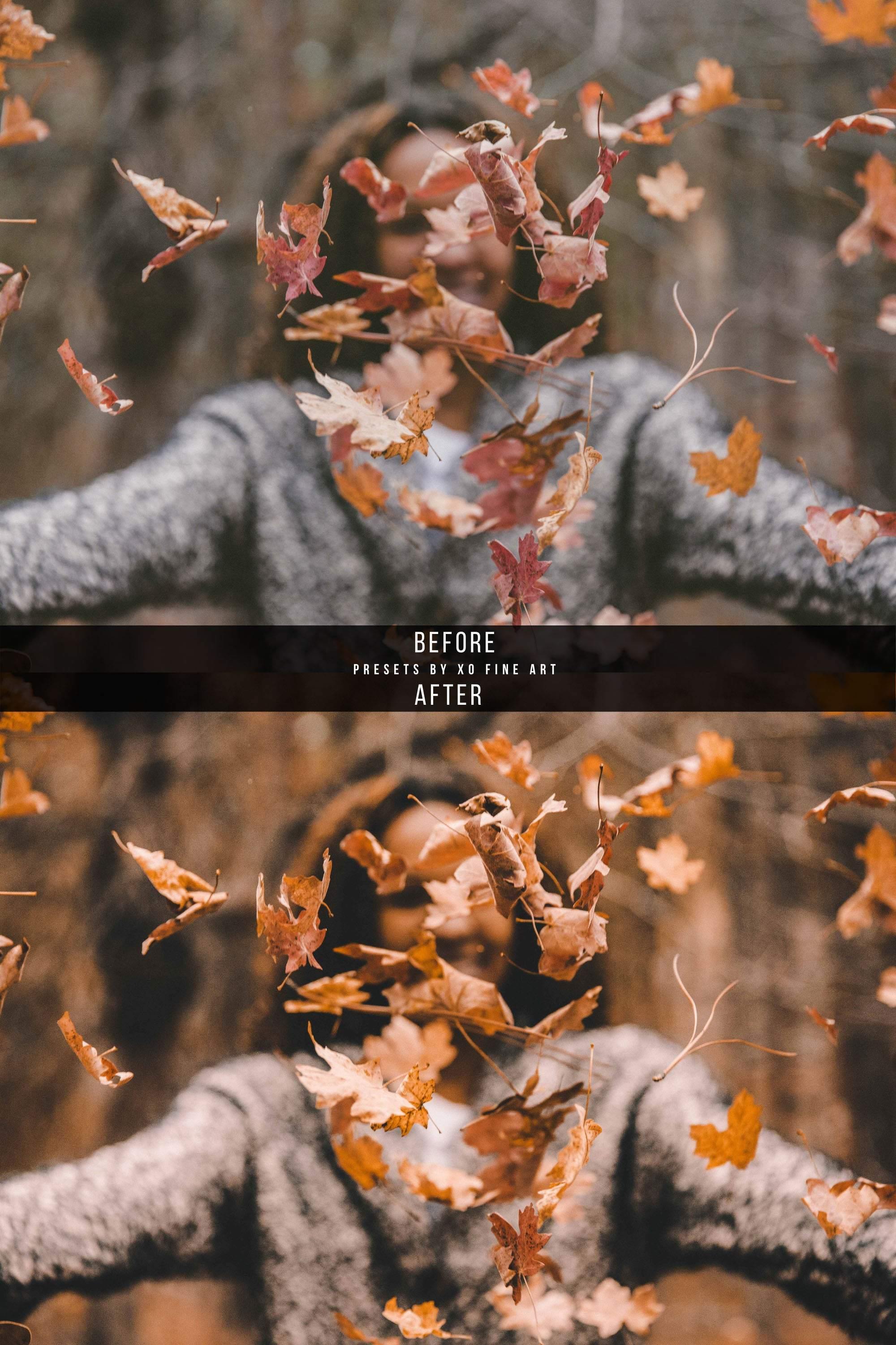 Autumn Presets | AUTUMN VIBE | Set of 7 | Mobile & Desktop Lightroom P ...