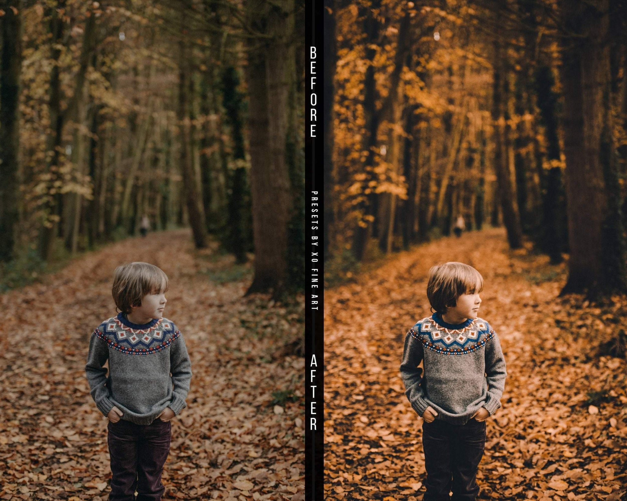 Autumn Presets | AUTUMN VIBE | Set of 7 | Mobile & Desktop Lightroom P ...