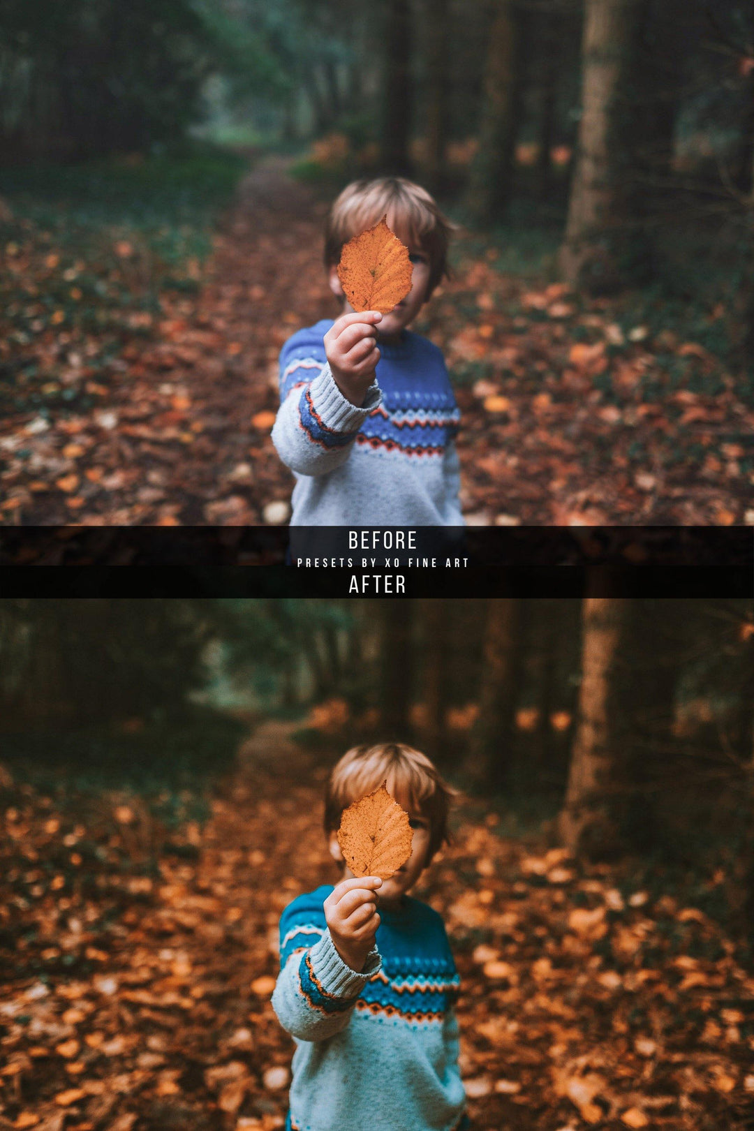 Autumn Presets | AUTUMN VIBE | Set of 7 | Mobile & Desktop Lightroom P ...