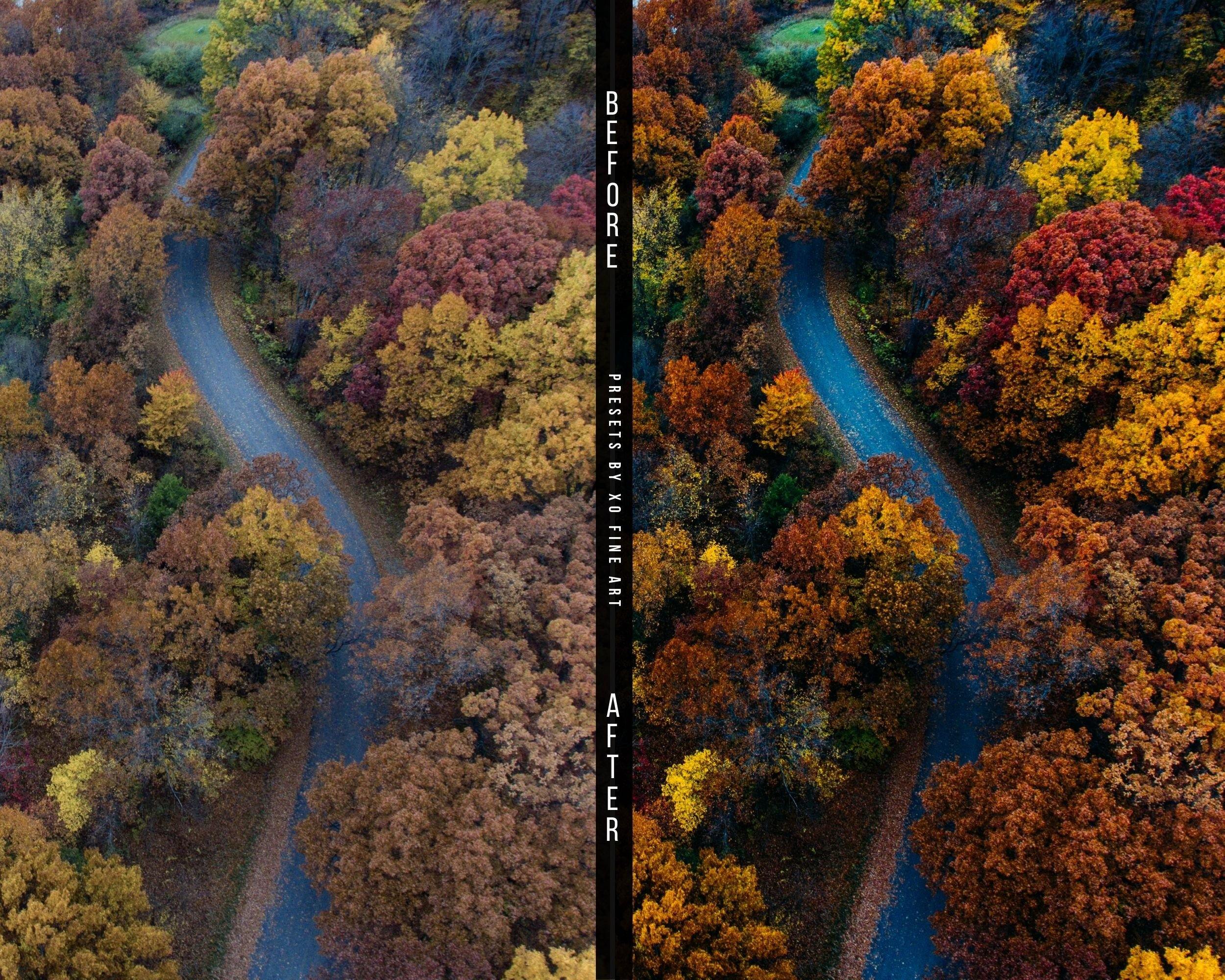 Autumn Presets | ALL SEASONS | Set of 12 | Mobile & Desktop Lightroom ...