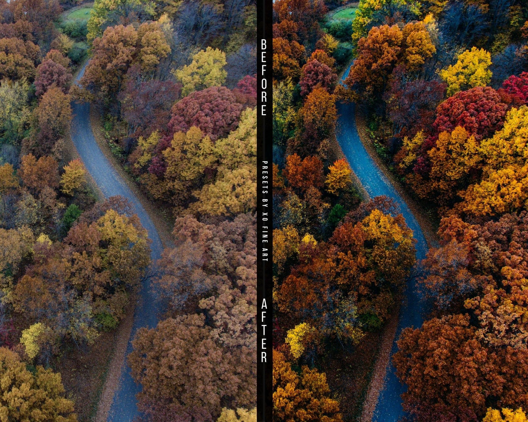 Autumn Presets | ALL SEASONS | Set of 12 | Mobile & Desktop Lightroom ...