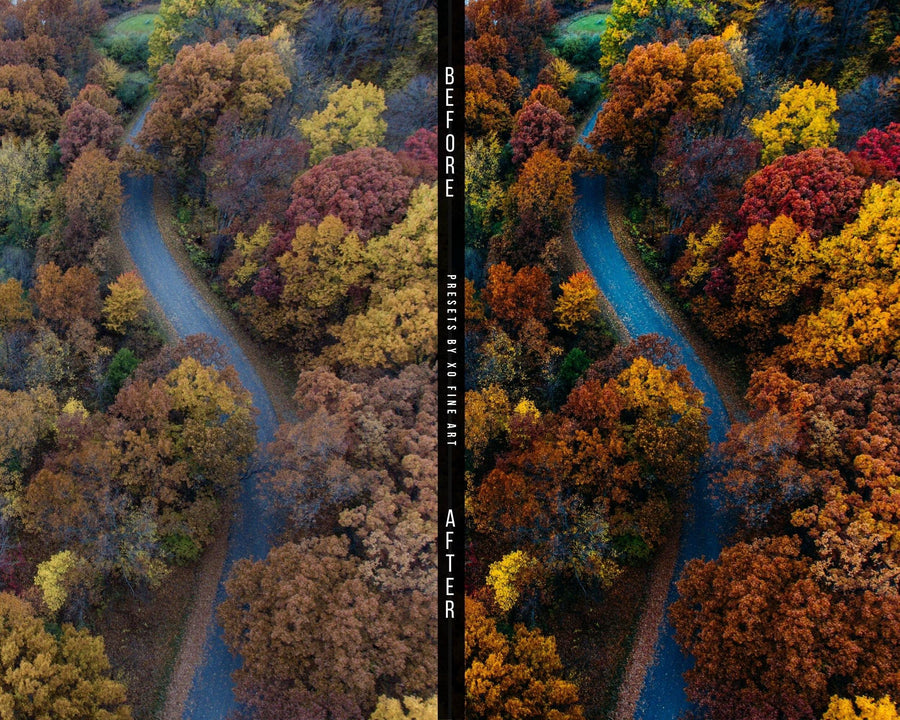 Autumn Presets | ALL SEASONS | Set of 12 | Mobile & Desktop Lightroom ...