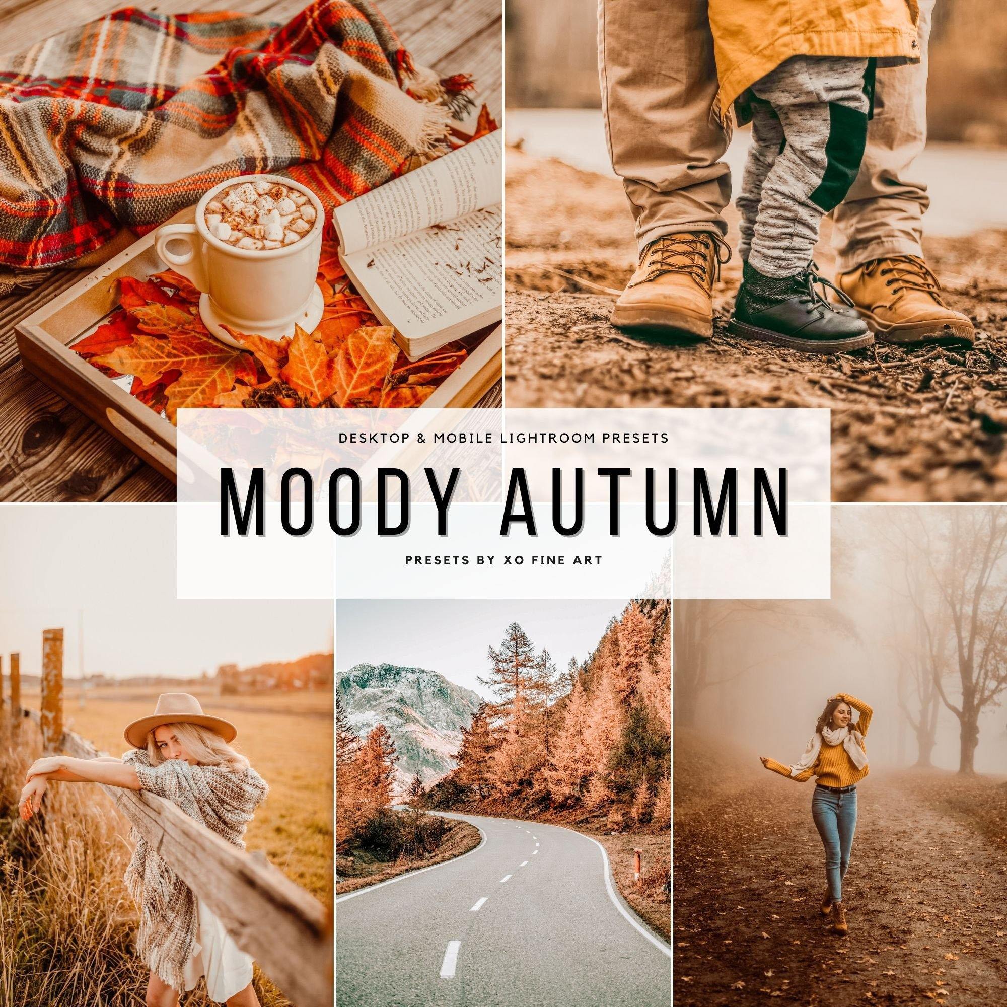 Autumn Presets | MOODY AUTUMN | Set of 7 | Mobile & Desktop Lightroom ...
