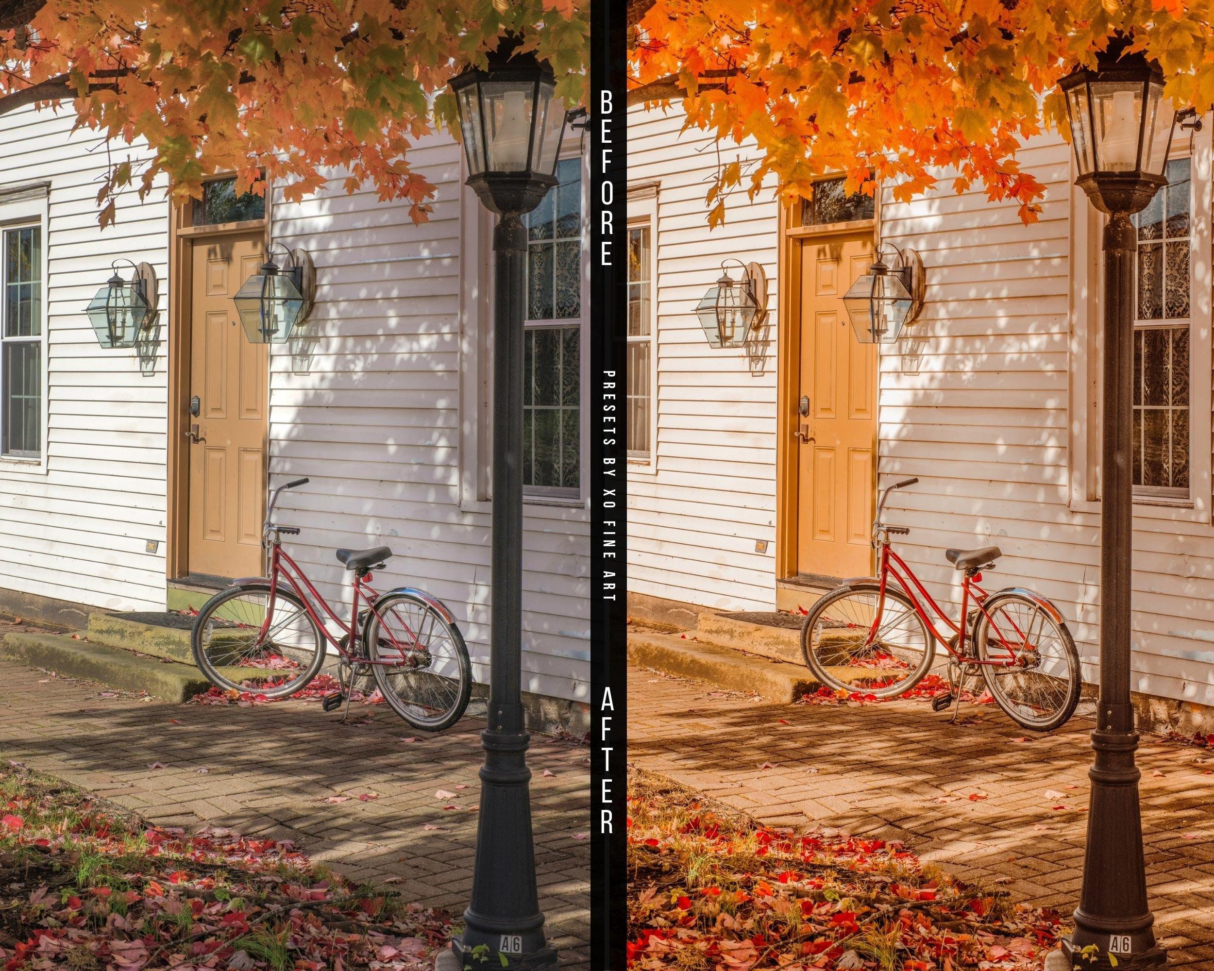 Autumn Presets | MOODY AUTUMN | Set of 7 | Mobile & Desktop Lightroom ...