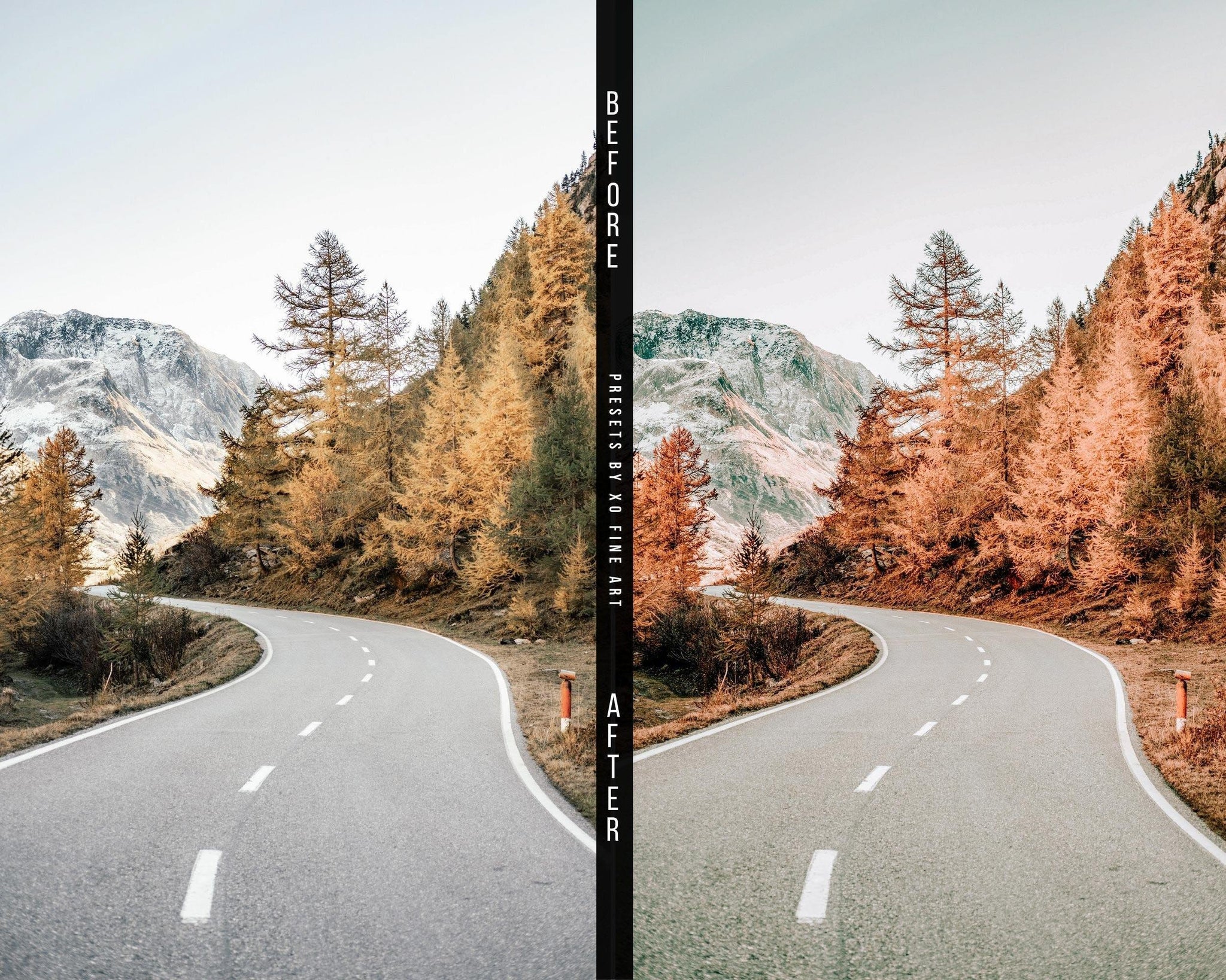 Autumn Presets | MOODY AUTUMN | Set of 7 | Mobile & Desktop Lightroom ...